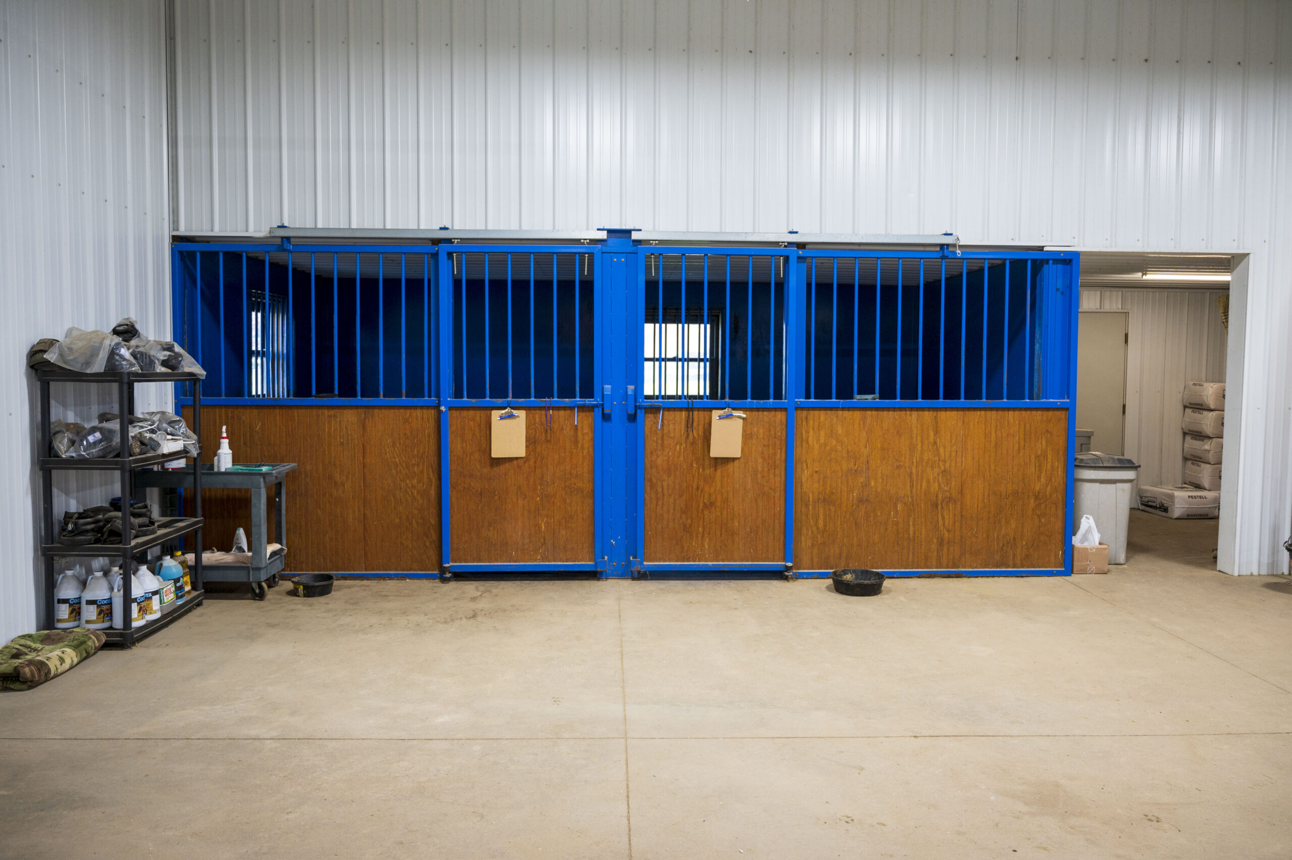 About Us – classicequinellc.com